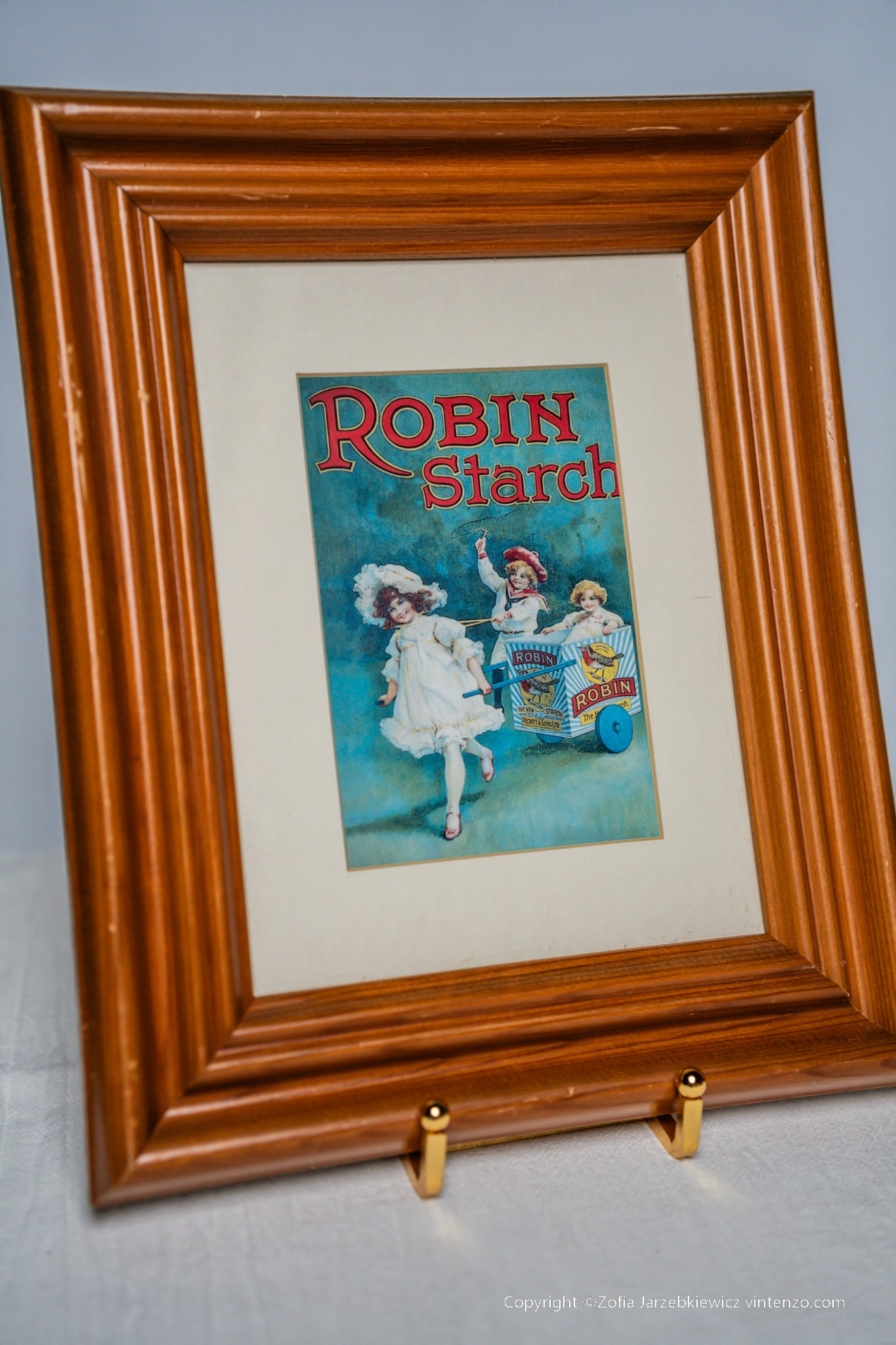 Robin Starch Picture – Vintenzo